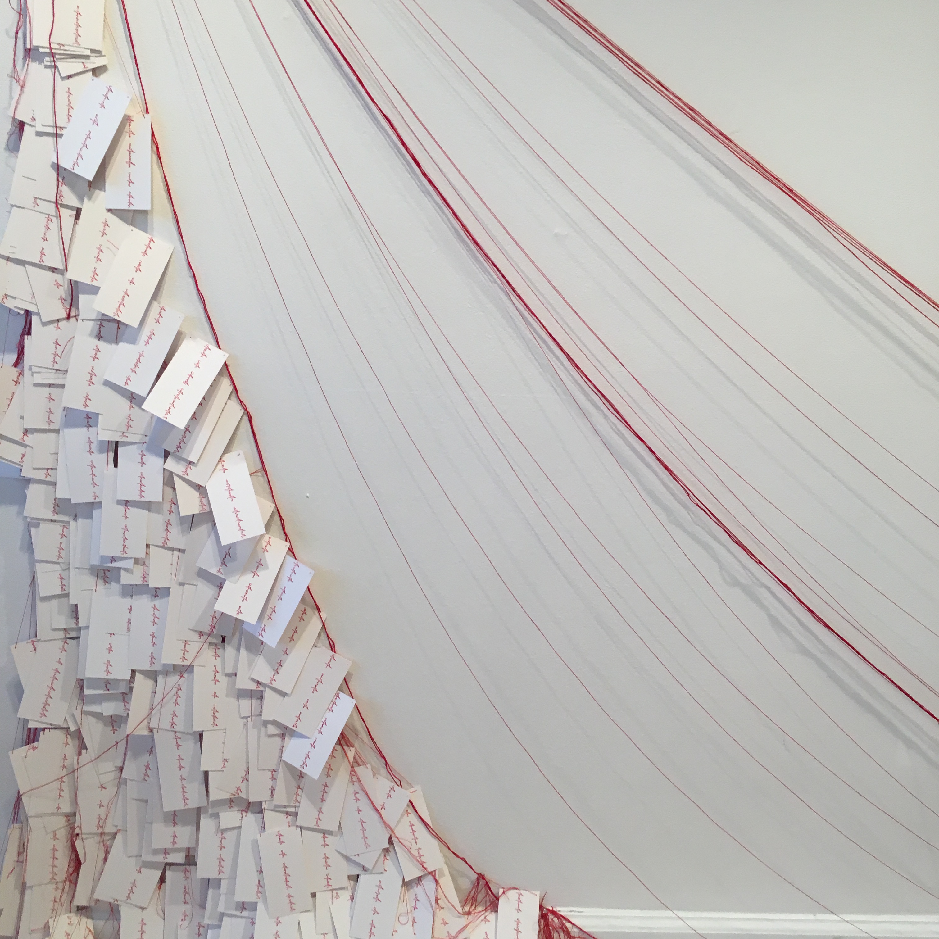 Following the Thread – Kate Fitzpatrick